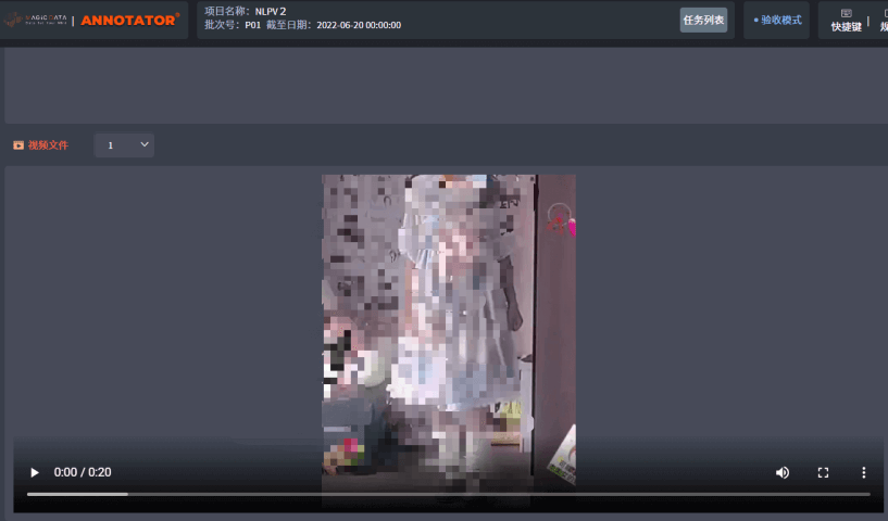 Annotator® Platform - Magic Data